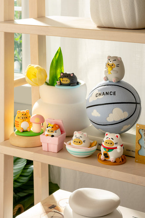 Vinyl Blind Boxes – Smoko Inc