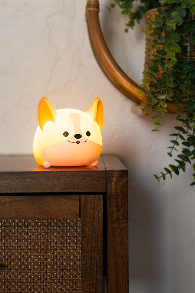 Lights – Smoko Inc